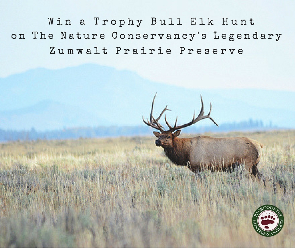 Oregon BHA 2018 Zumwalt Prairie Bull Elk Hunt | Raffle Creator