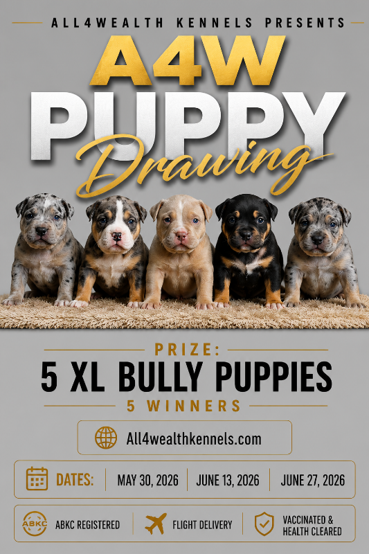 A4W Kennels Puppy Drawing | June 2026 | Raffle Creator