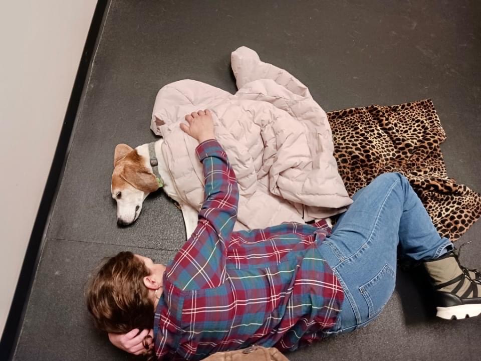 Raffle For Jack | Raffle Creator