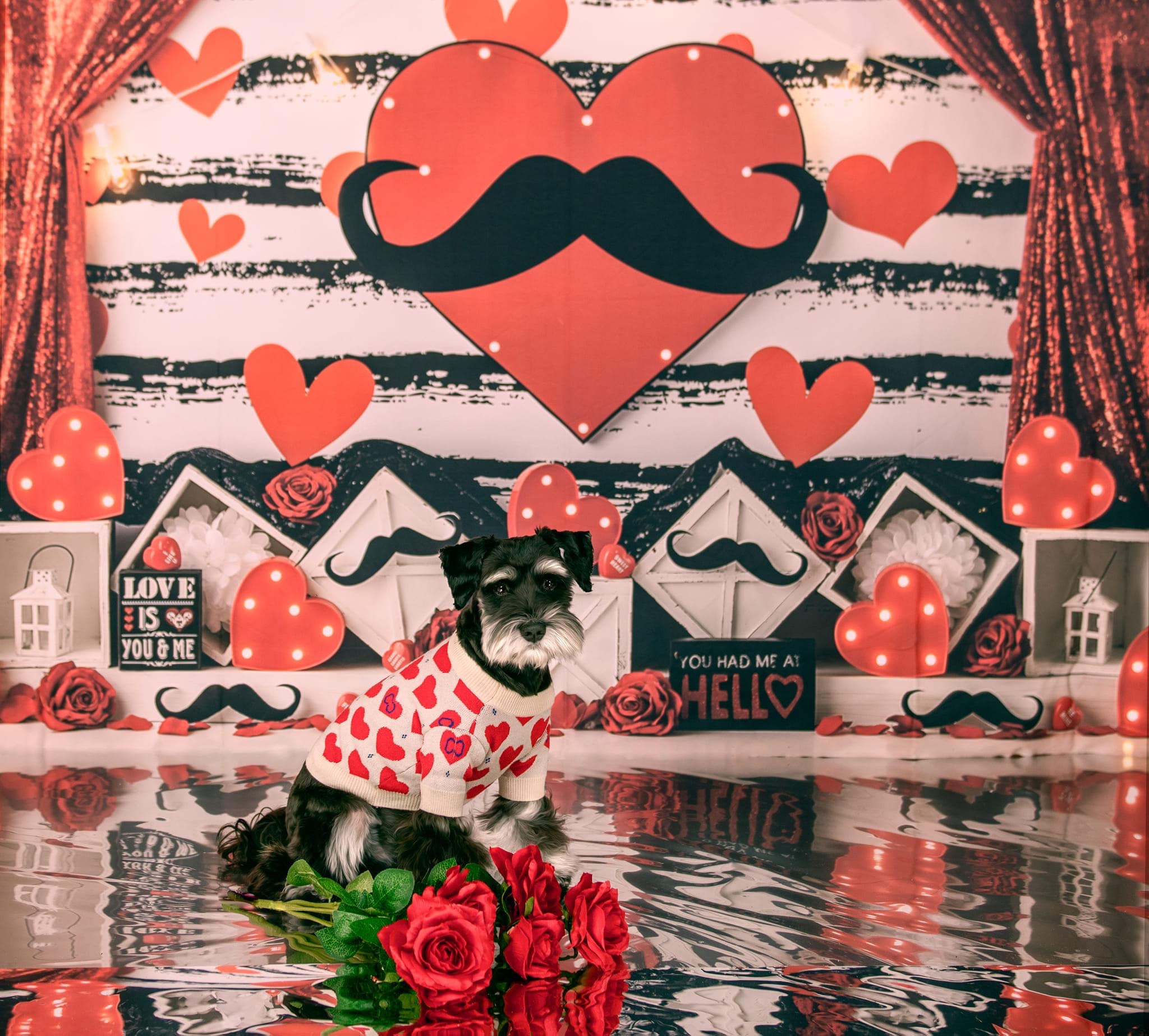 Fur Baby & Me Photoshoot | Raffle Creator