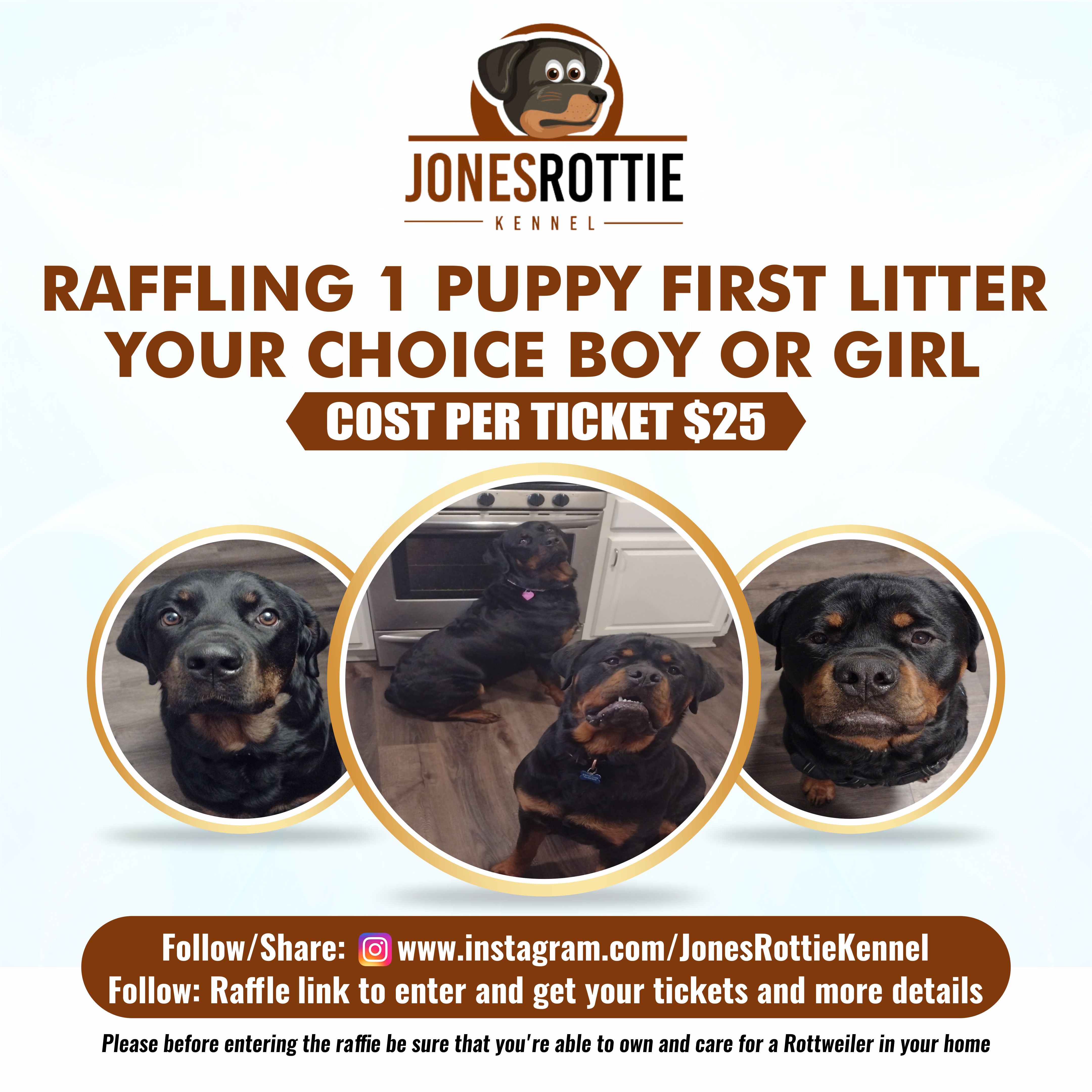 Puppy Raffle | Raffle Creator