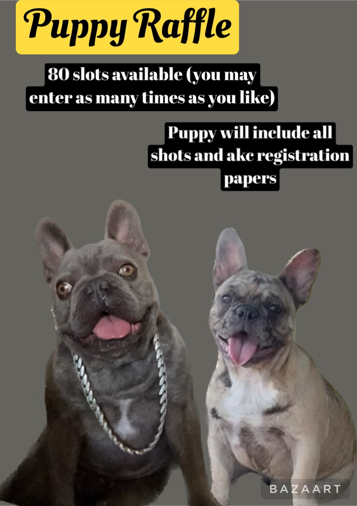 D.W.A Kennels Puppy Raffle | Raffle Creator