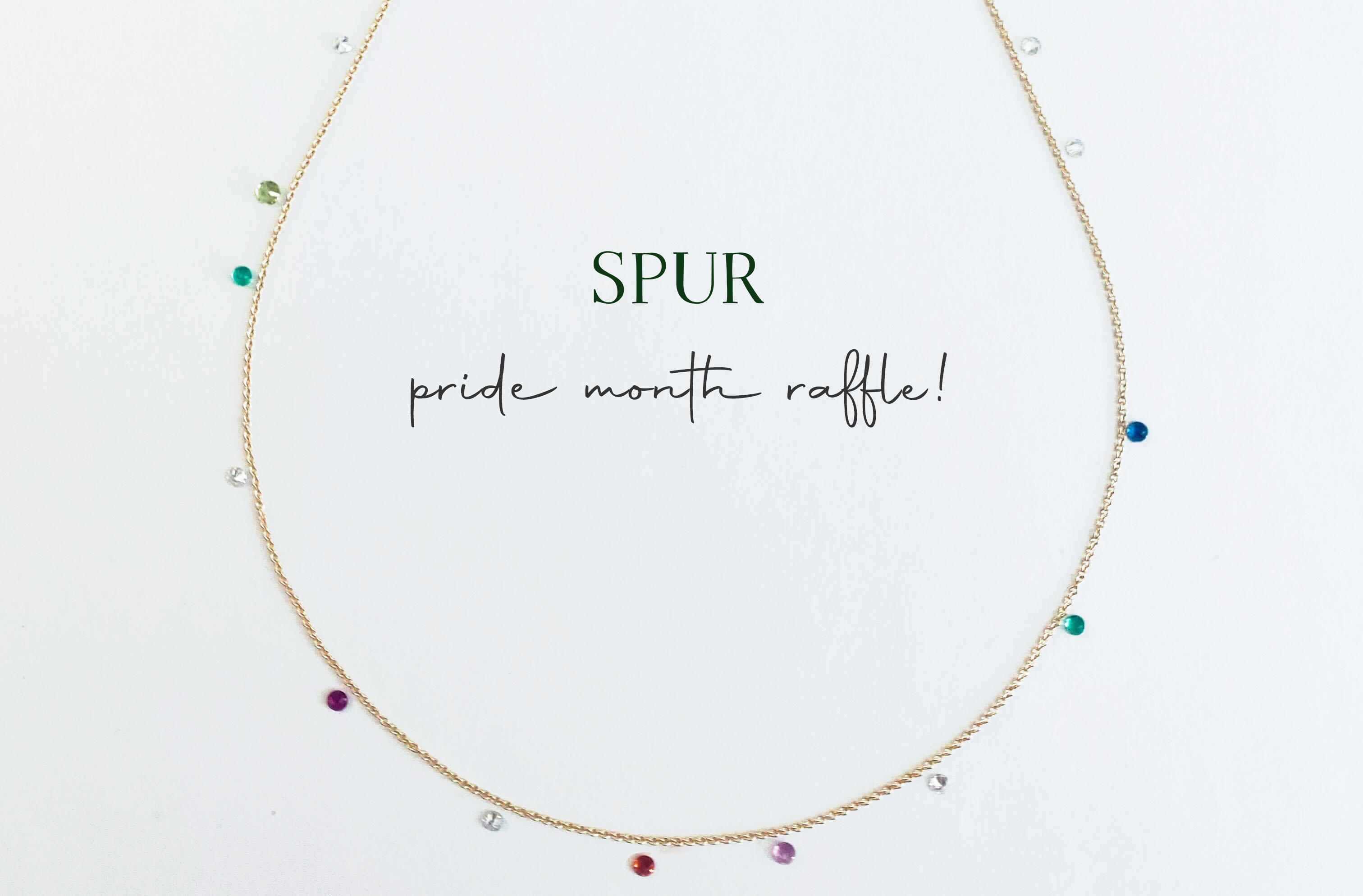 Pride Diamond Necklace Raffle | Raffle Creator