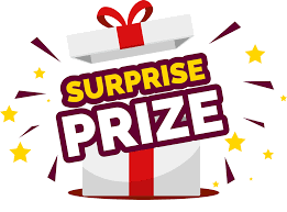 The All Star Foundation Test Raffle | Raffle Creator