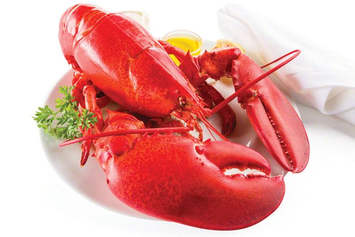 10 Live Maine Lobsters Raffle - Fundraiser for Sebec Reading Room ...