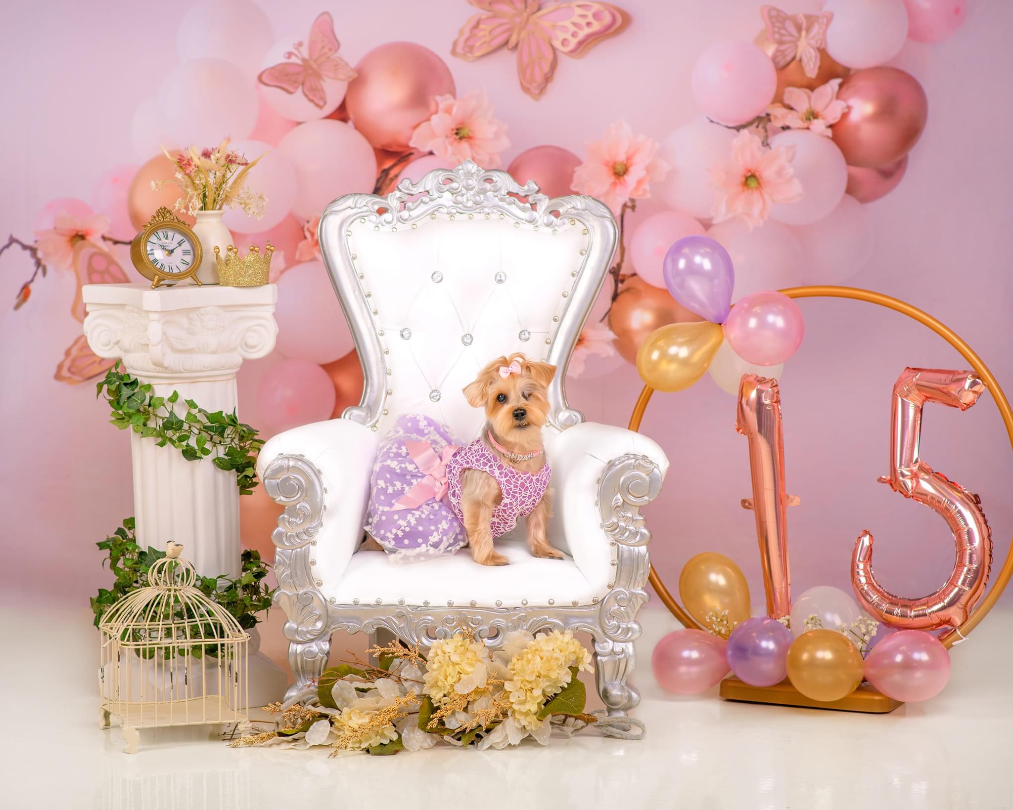 Fur Baby & Me Photoshoot | Raffle Creator