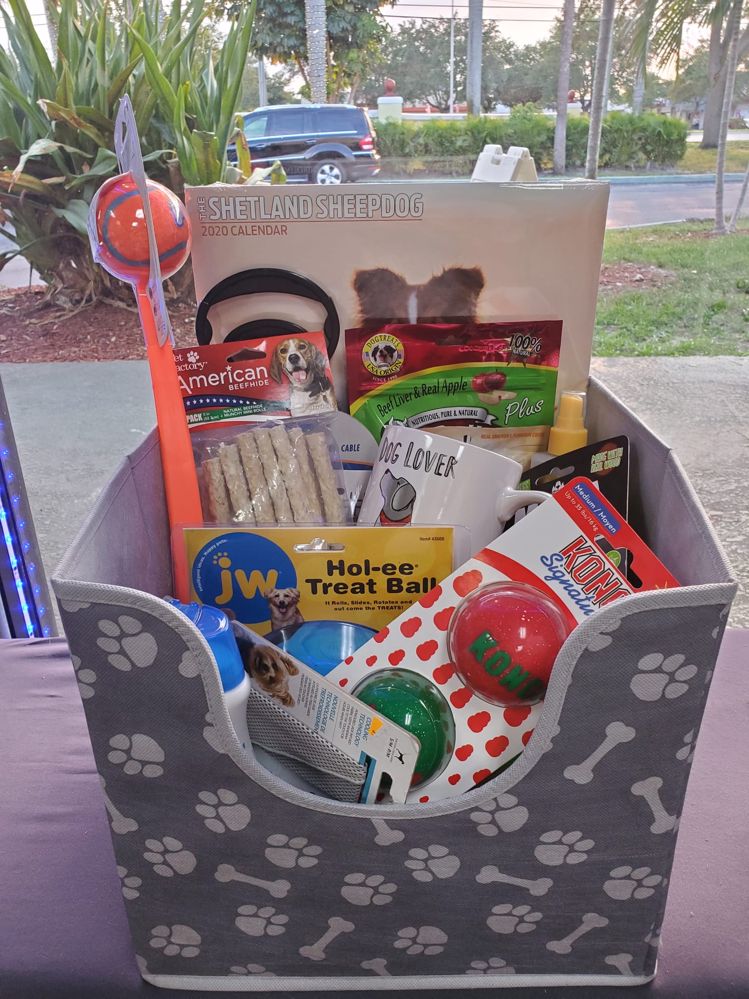 United for Animal Rescue Fundraiser | Raffle Creator