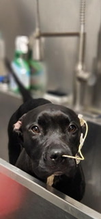 Help Eva ️ | Raffle Creator