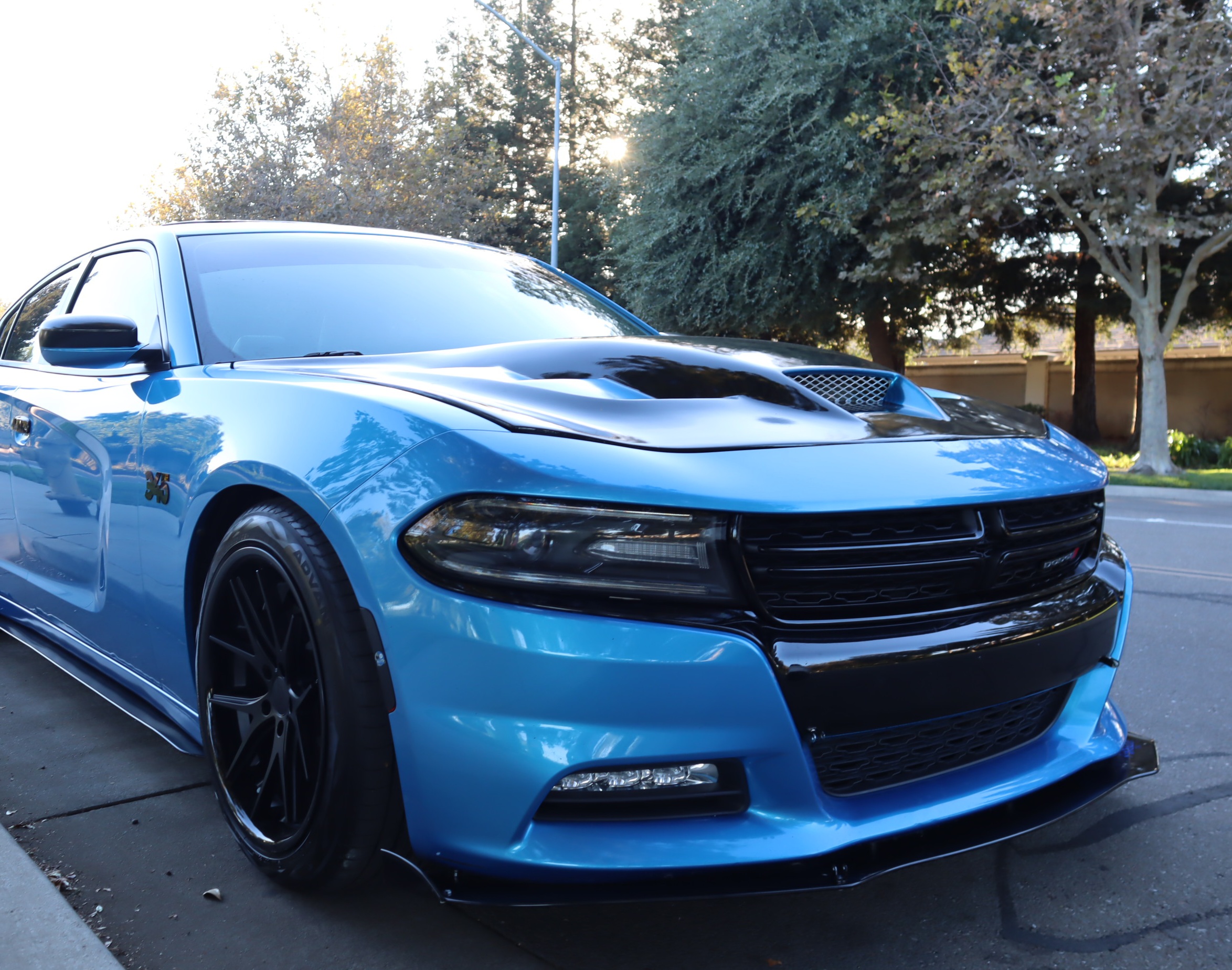 Killer Bee Hood | Raffle Creator