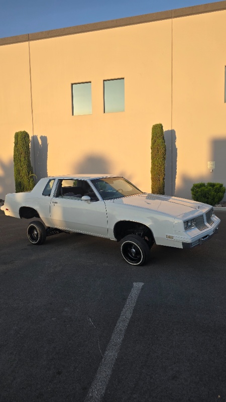 King Car Raffles VIII | Raffle Creator