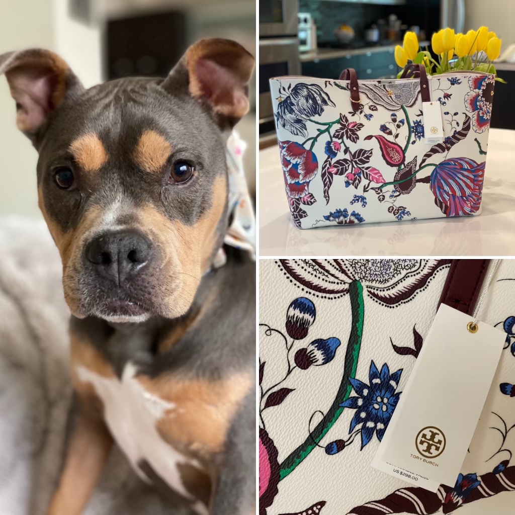 Mother’s Day Raffle to support Mackenzie | Raffle Creator