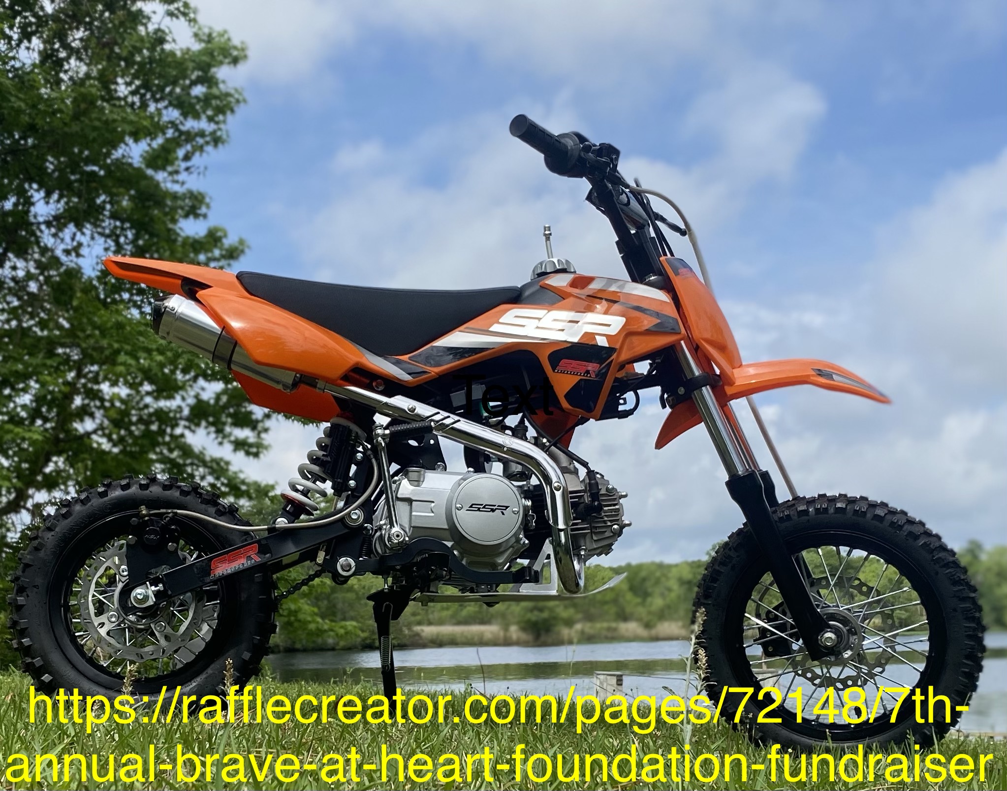 7th Annual Brave at Heart Foundation Fundraiser | Raffle Creator