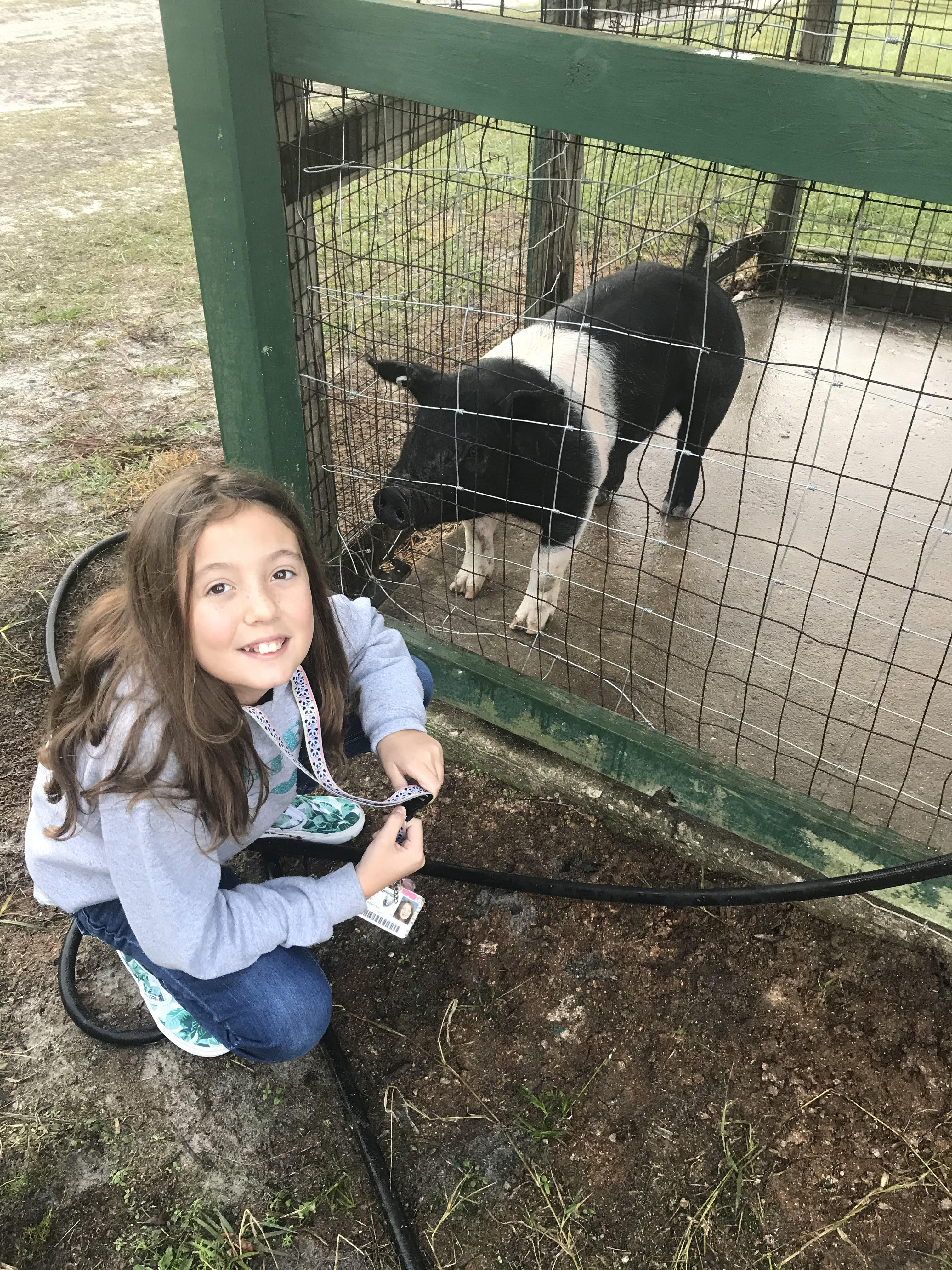 Briley's 4-H Pig project | Raffle Creator