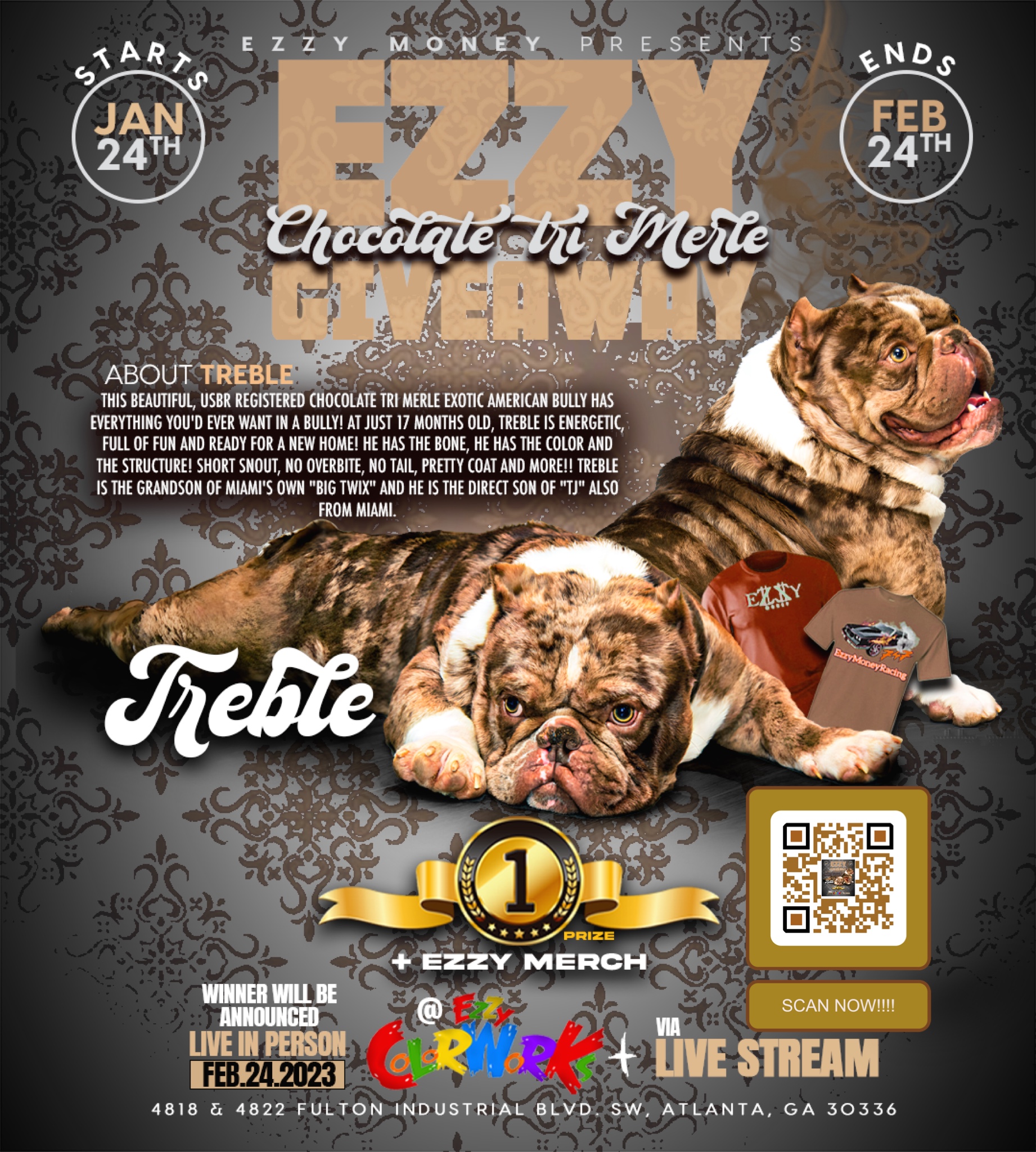 Ezzy Chocolate Tri Merle Bully Giveaway | Raffle Creator