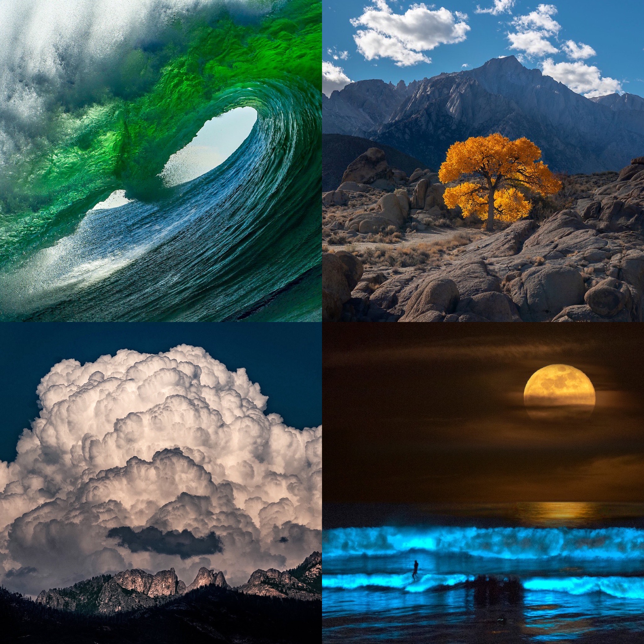 Print Raffle for the California Fire Foundation SAVE Program | Raffle ...