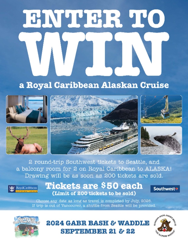 Alaskan Cruise Trip Raffle | Raffle Creator
