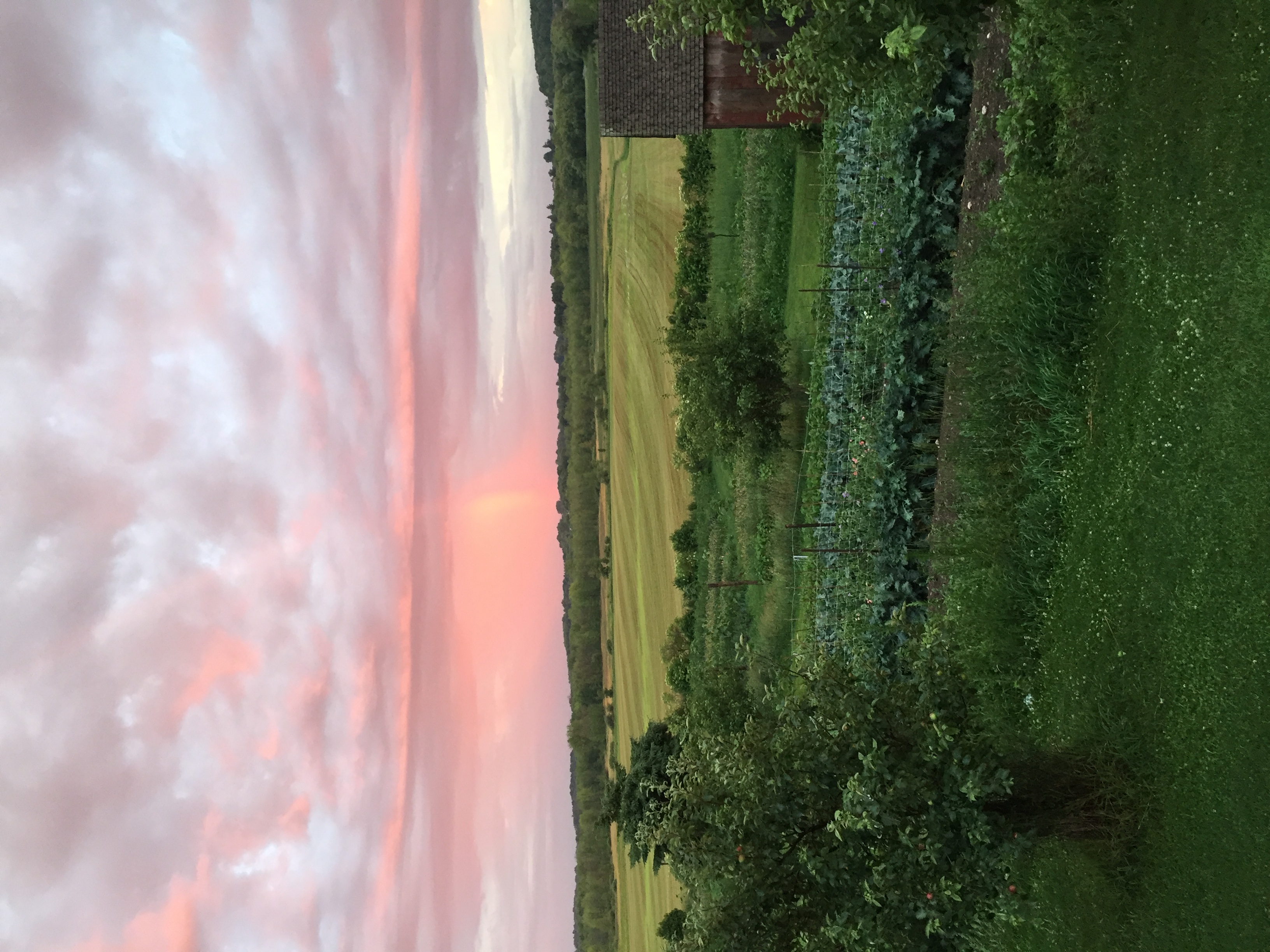 The MAGIC Foundation Dinner on Farm Raffle | Raffle Creator