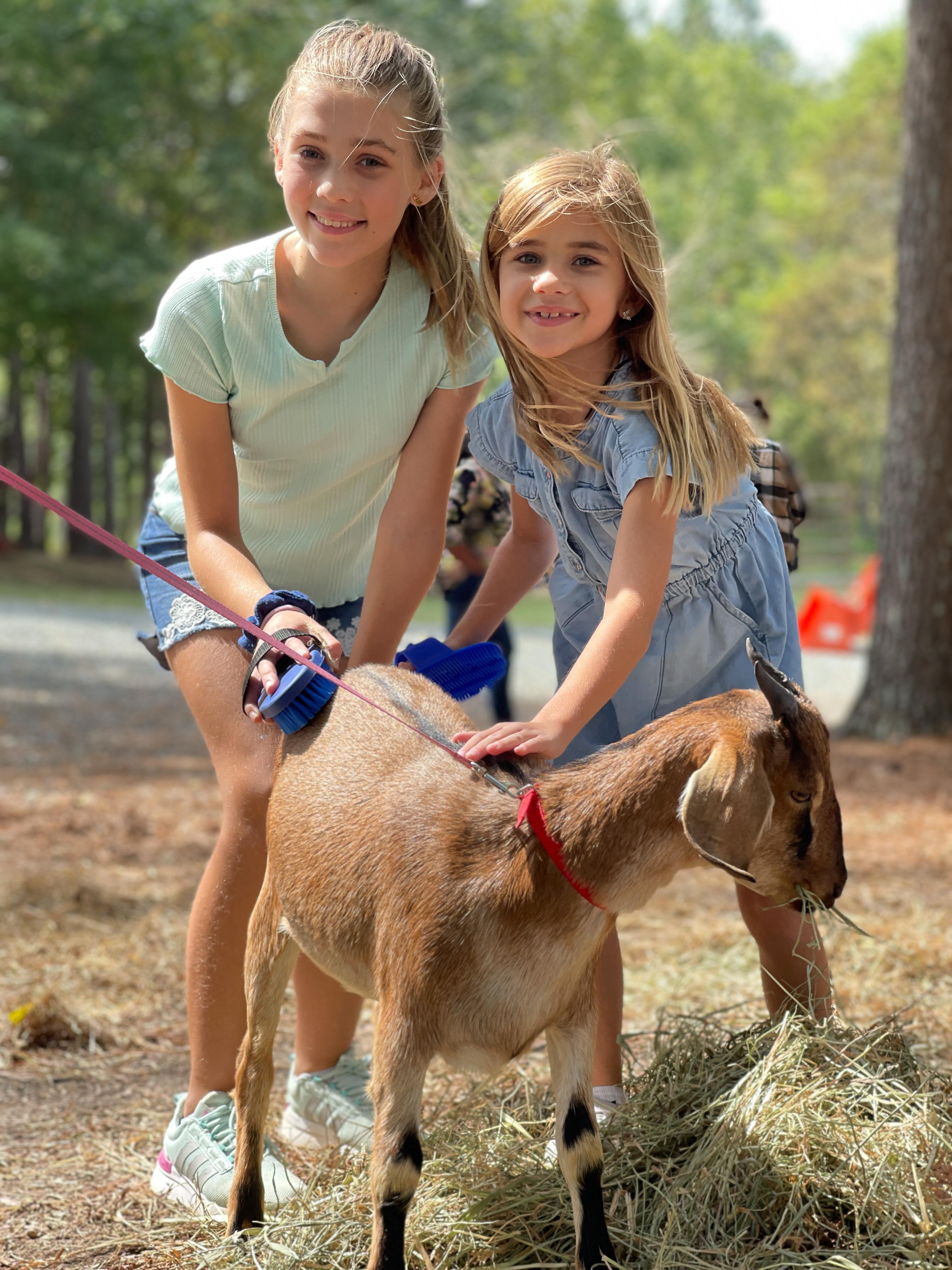 Take It Away Apple Raffle for CF | Raffle Creator