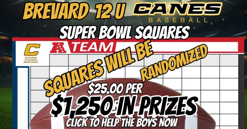 BREVARD CANES 12U SUPER BOWL SQUARES | Raffle Creator